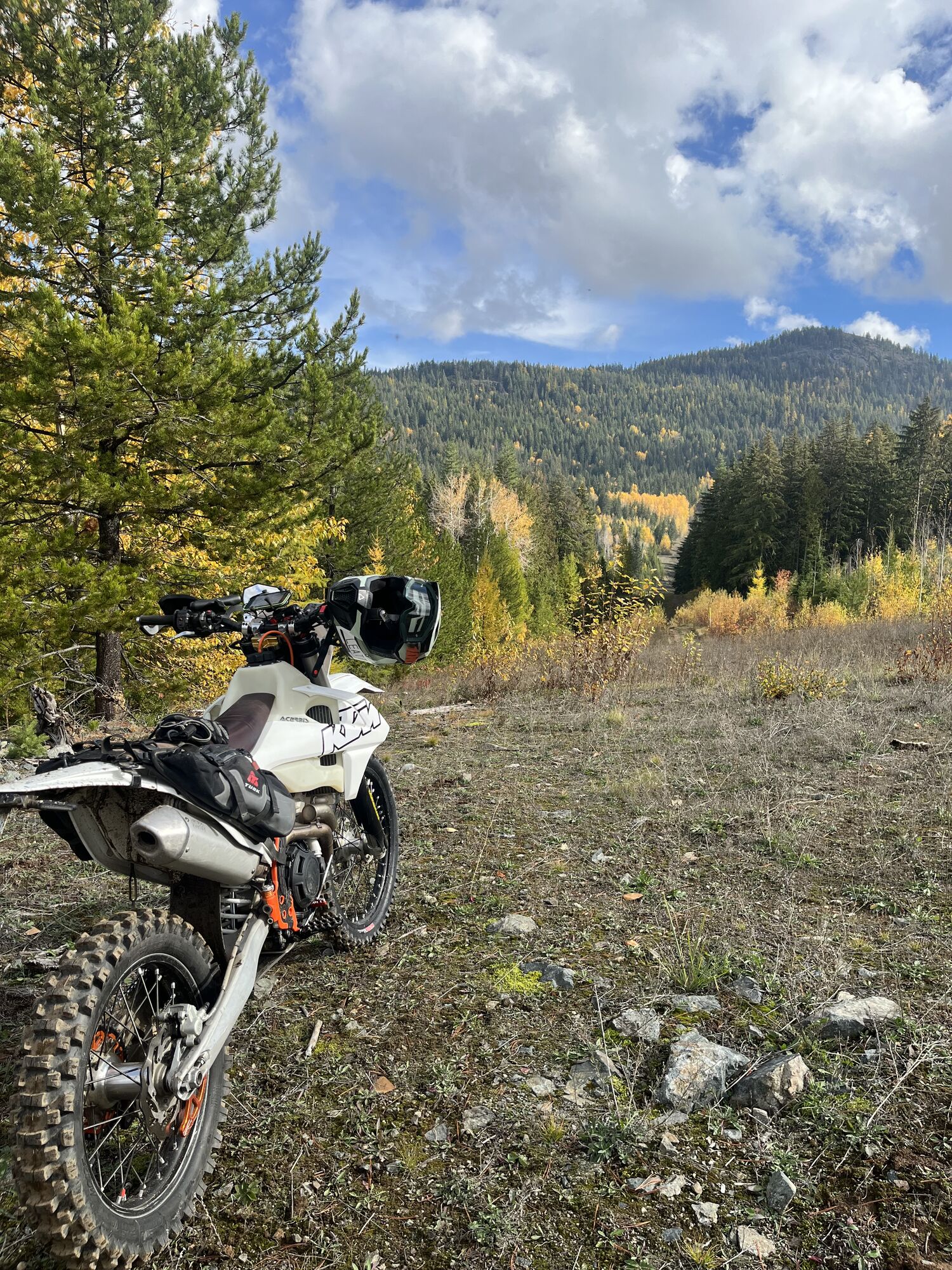 That Moto App (TMA) - Moto: 350