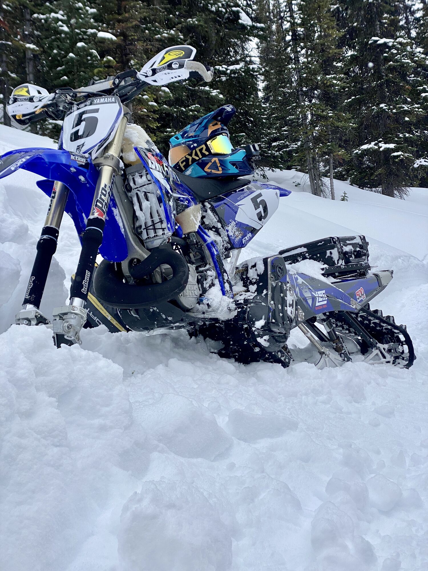 That Moto App (TMA) - Moto: Big Fry