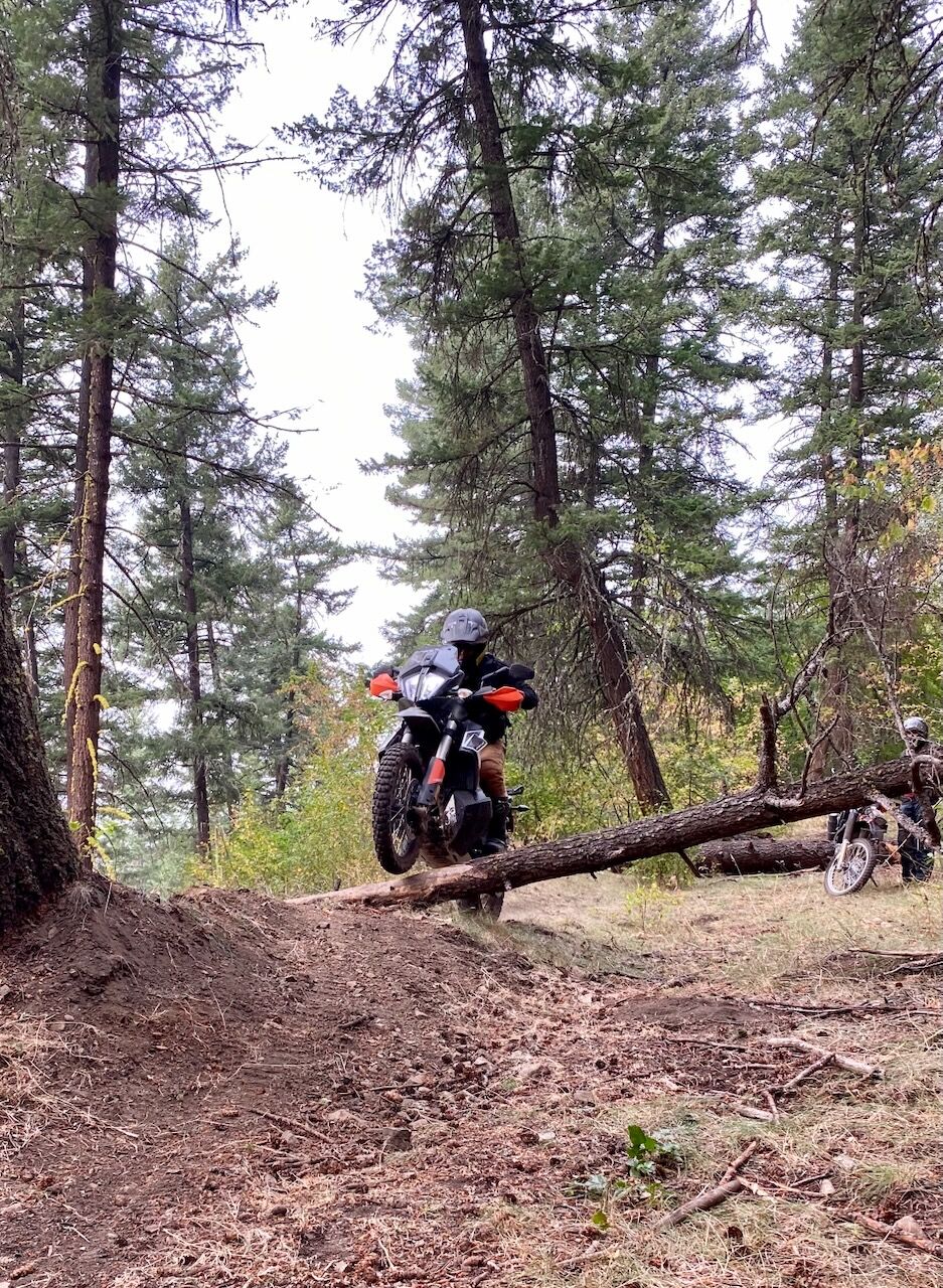 That Moto App (TMA) - GPS: D3 - Twisted Steel & Salsa Shark